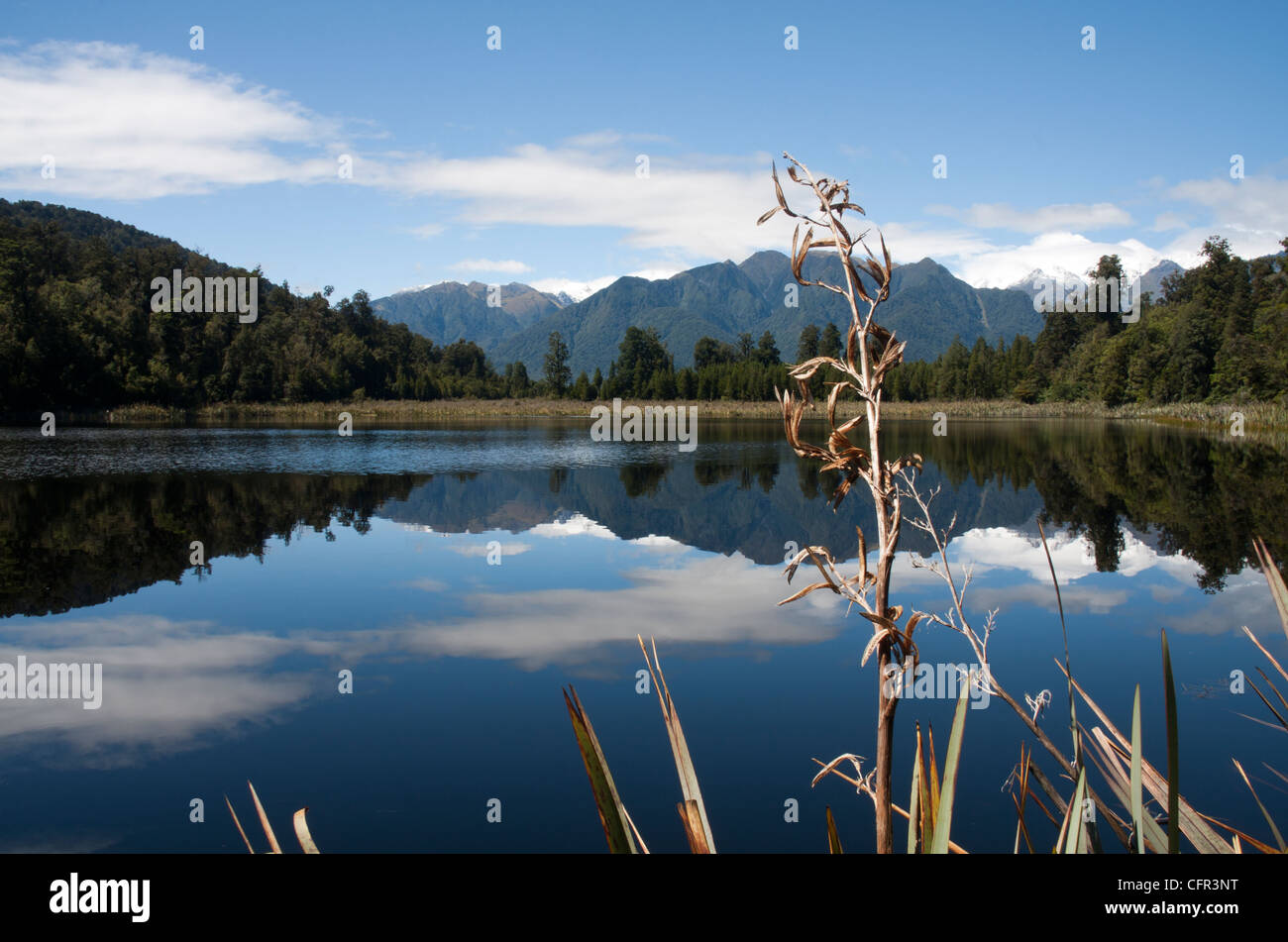 Reflections in Lake Matheson, South Island, New Zealand Stock Photo - Alamy