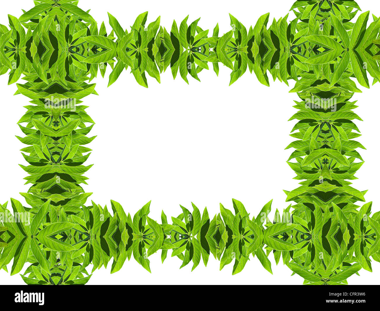 Natural green leaf frame Stock Photo - Alamy