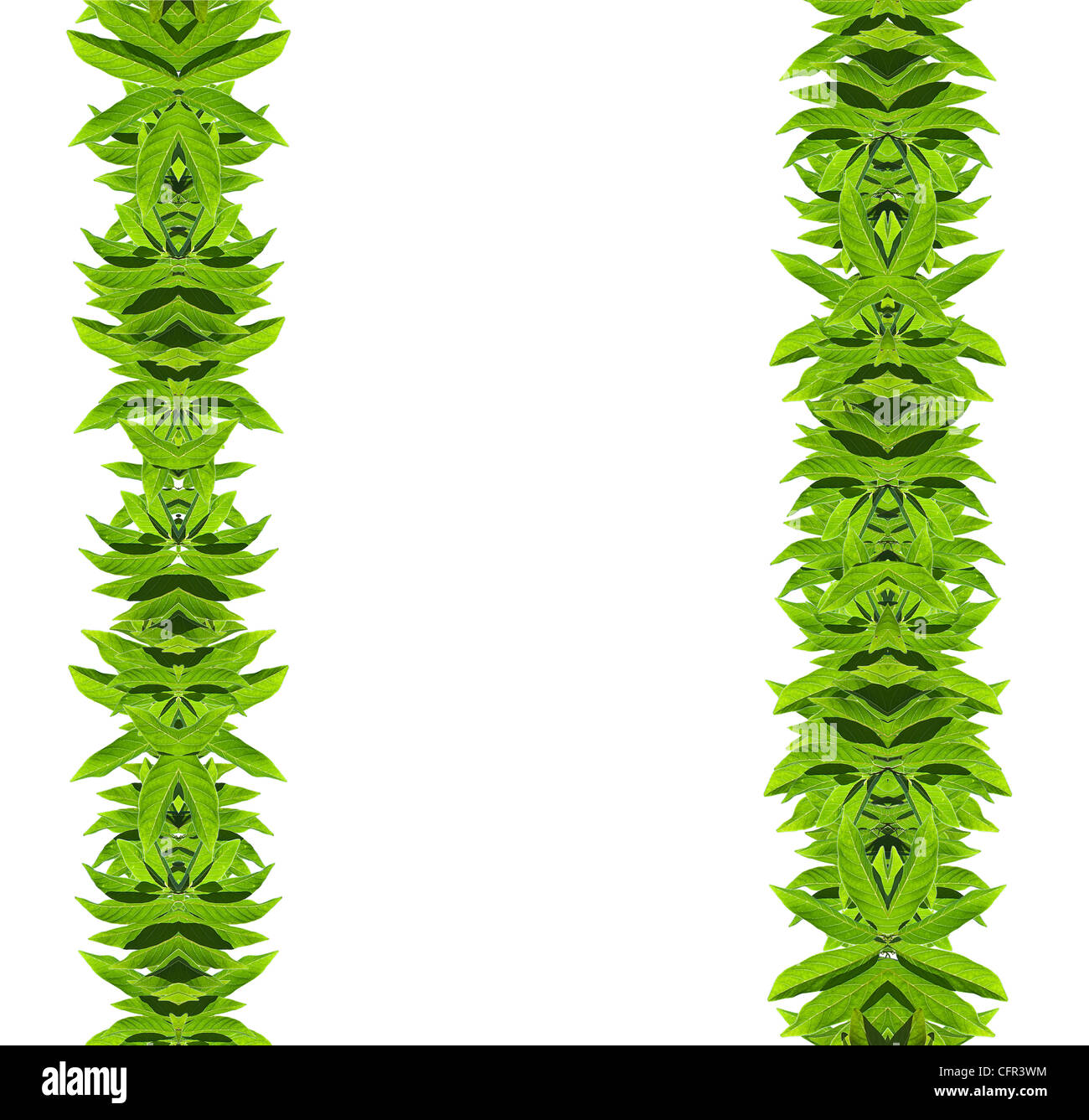 Leaf border hi-res stock photography and images - Alamy