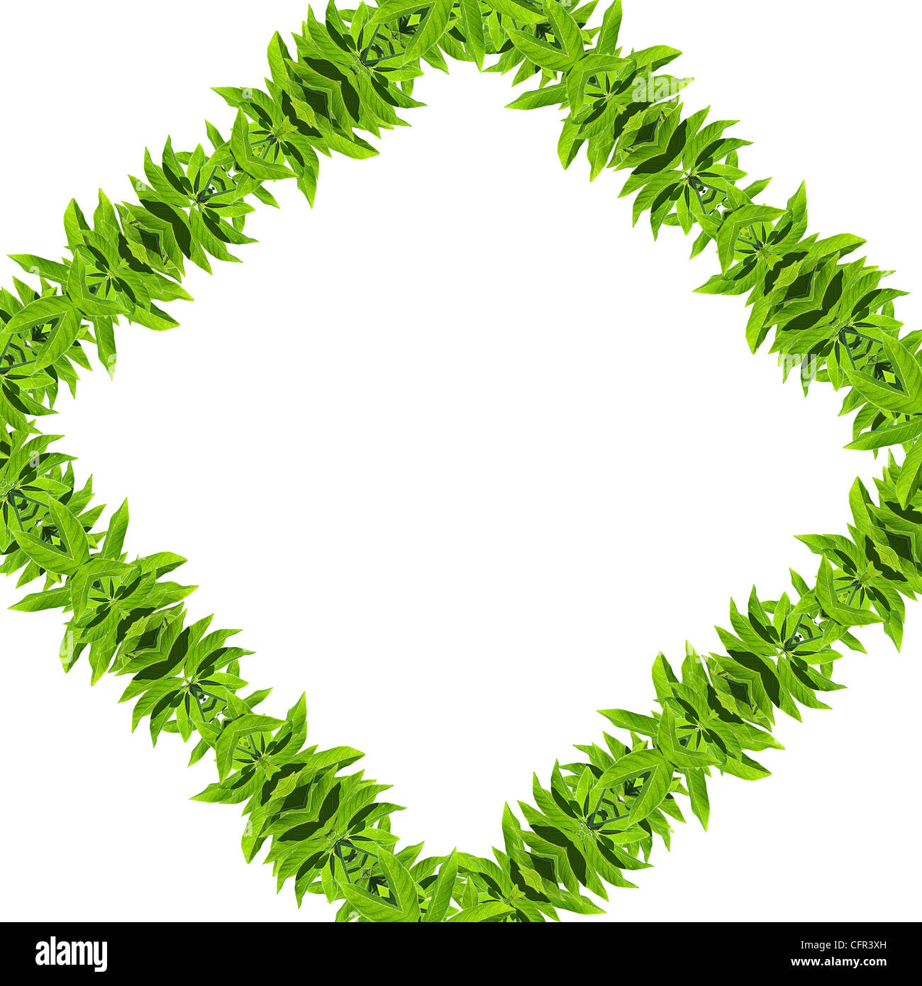 Natural green leaf frame Stock Photo - Alamy