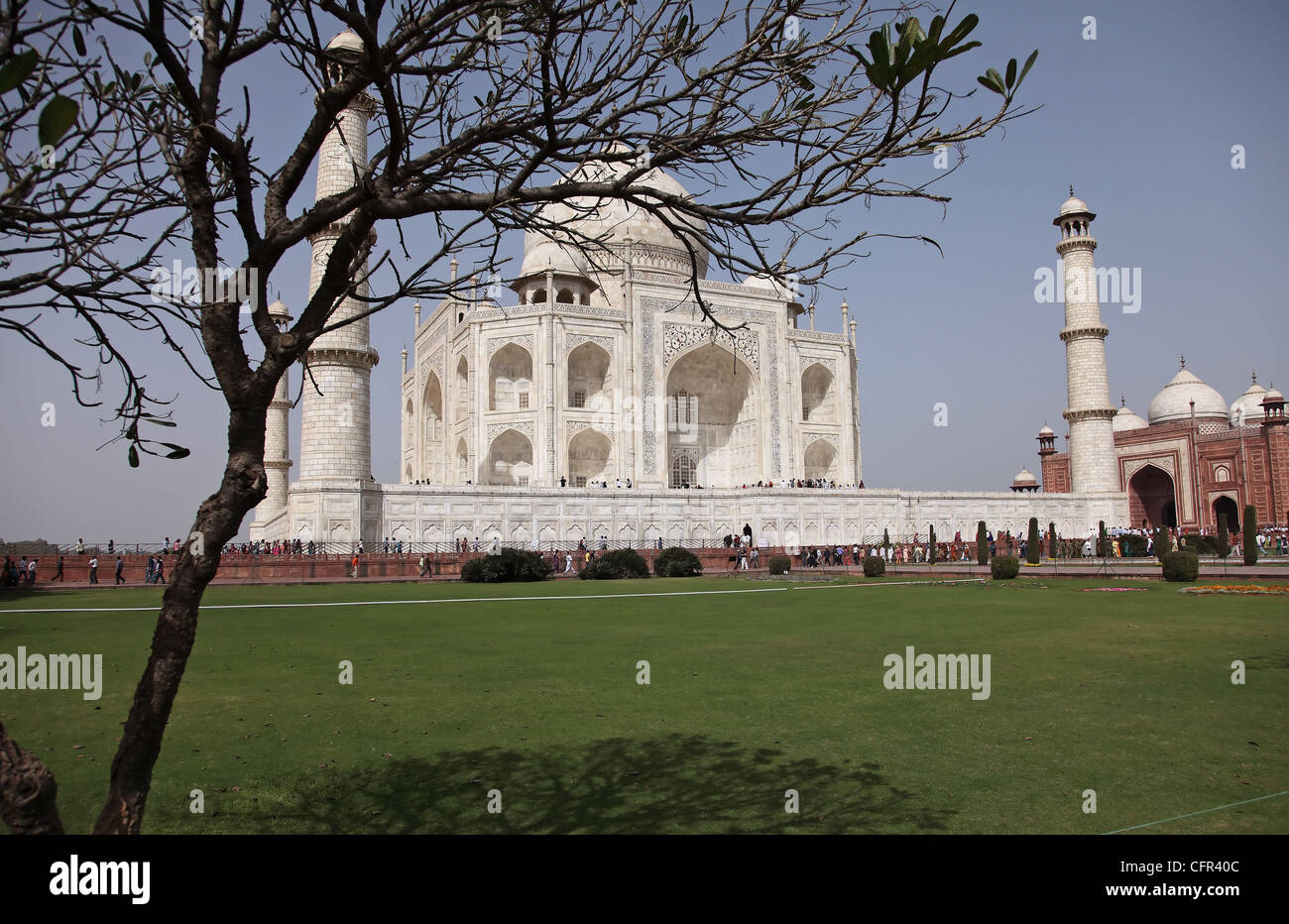 Front view of Taj Mahal,India Stock Photo - Alamy