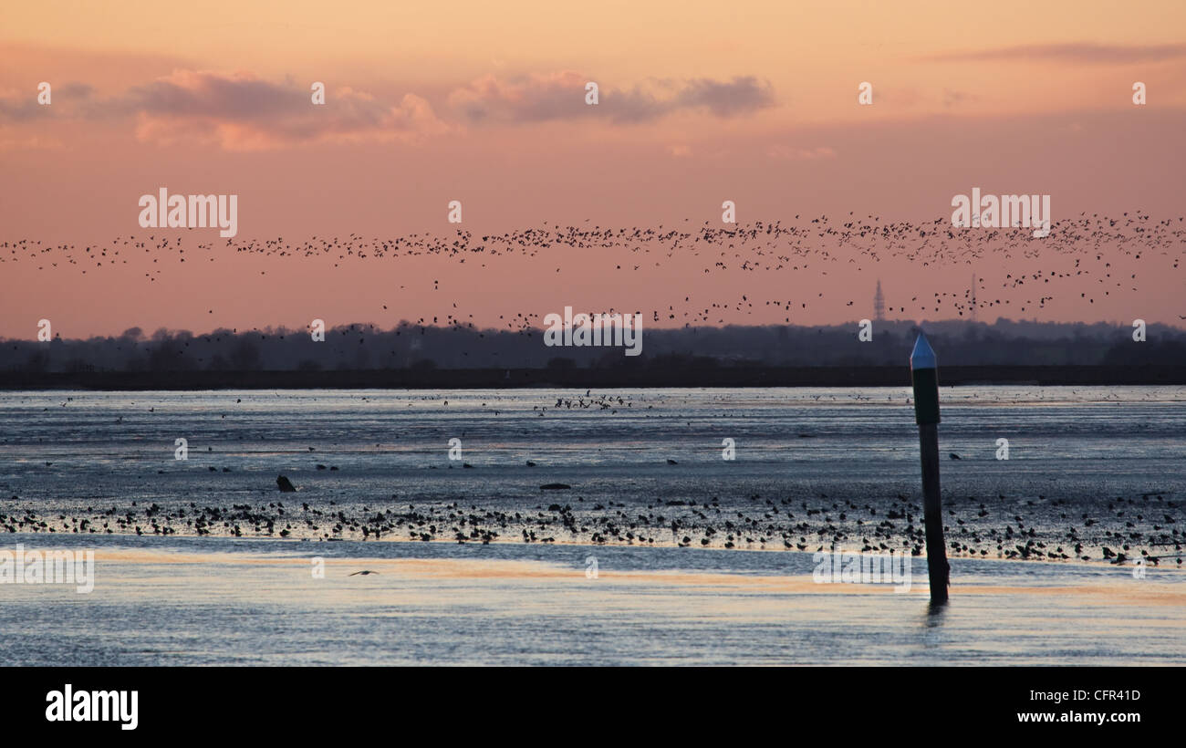 Great yarmouth breydon water norfolk hi-res stock photography and ...