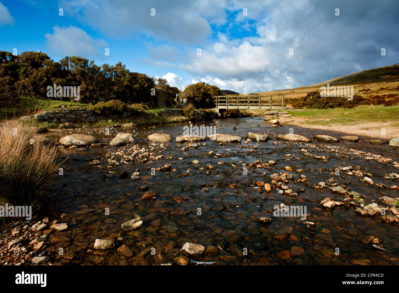 Stepping stones footbridge hi-res stock photography and images - Alamy