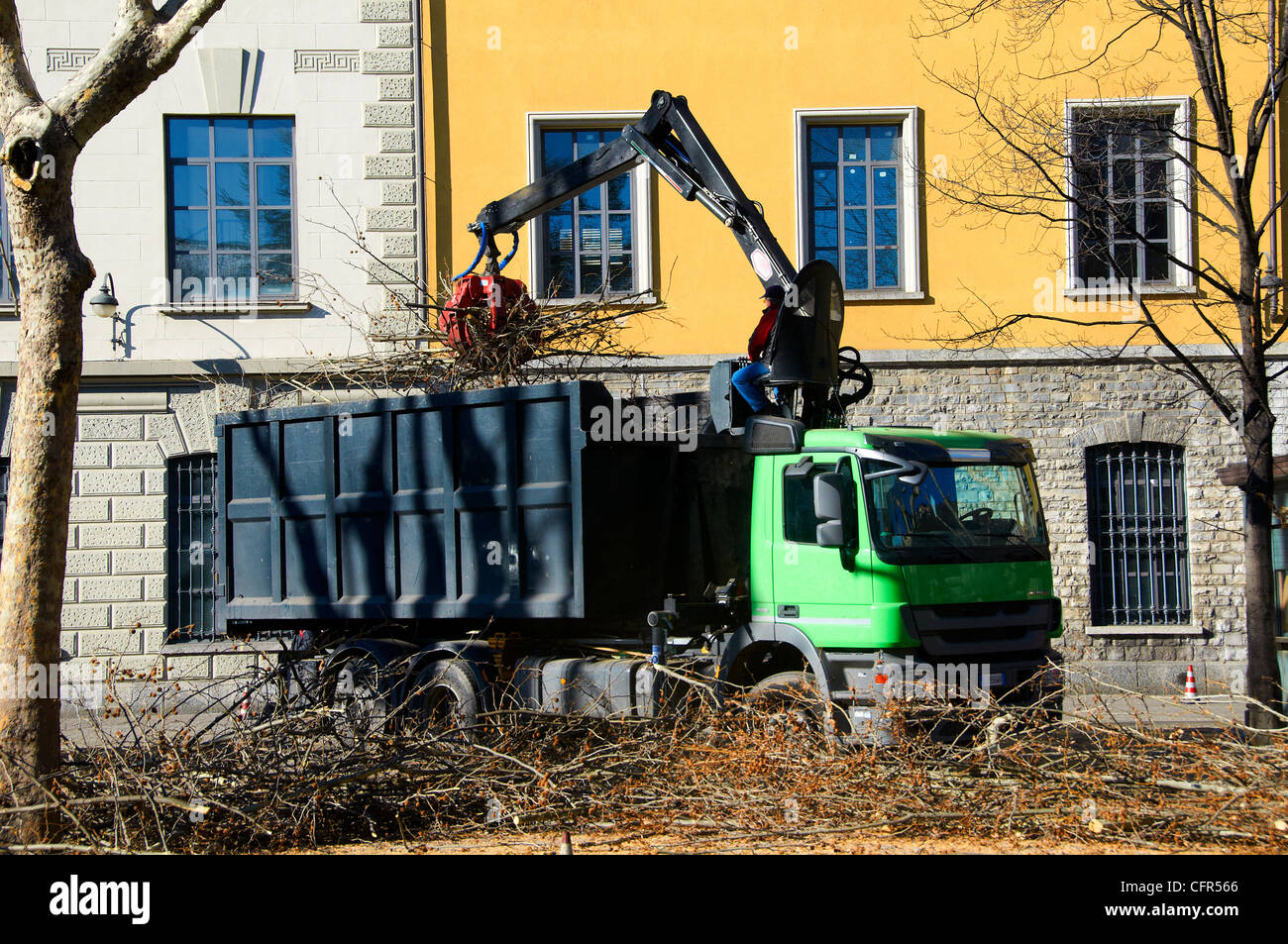 men pruning with a chainsaw Stock Photo - Alamy