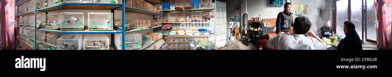 Beijing. Mr. Yang and his friends having lunch. 360° panoramic view of ...