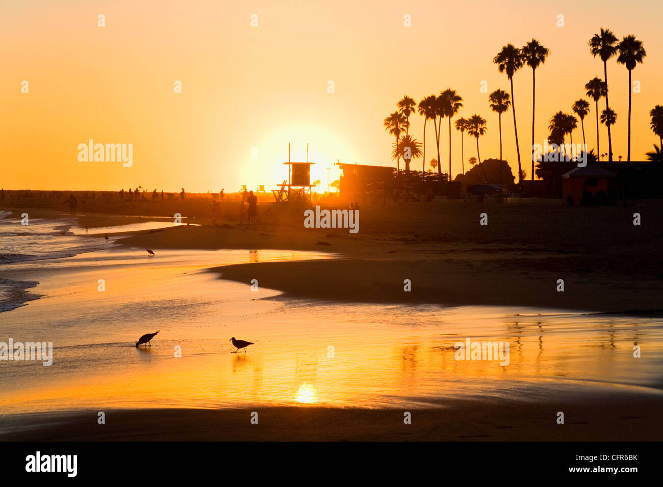 Sunset at Corona del Mar Beach, Newport Beach, Orange County ...