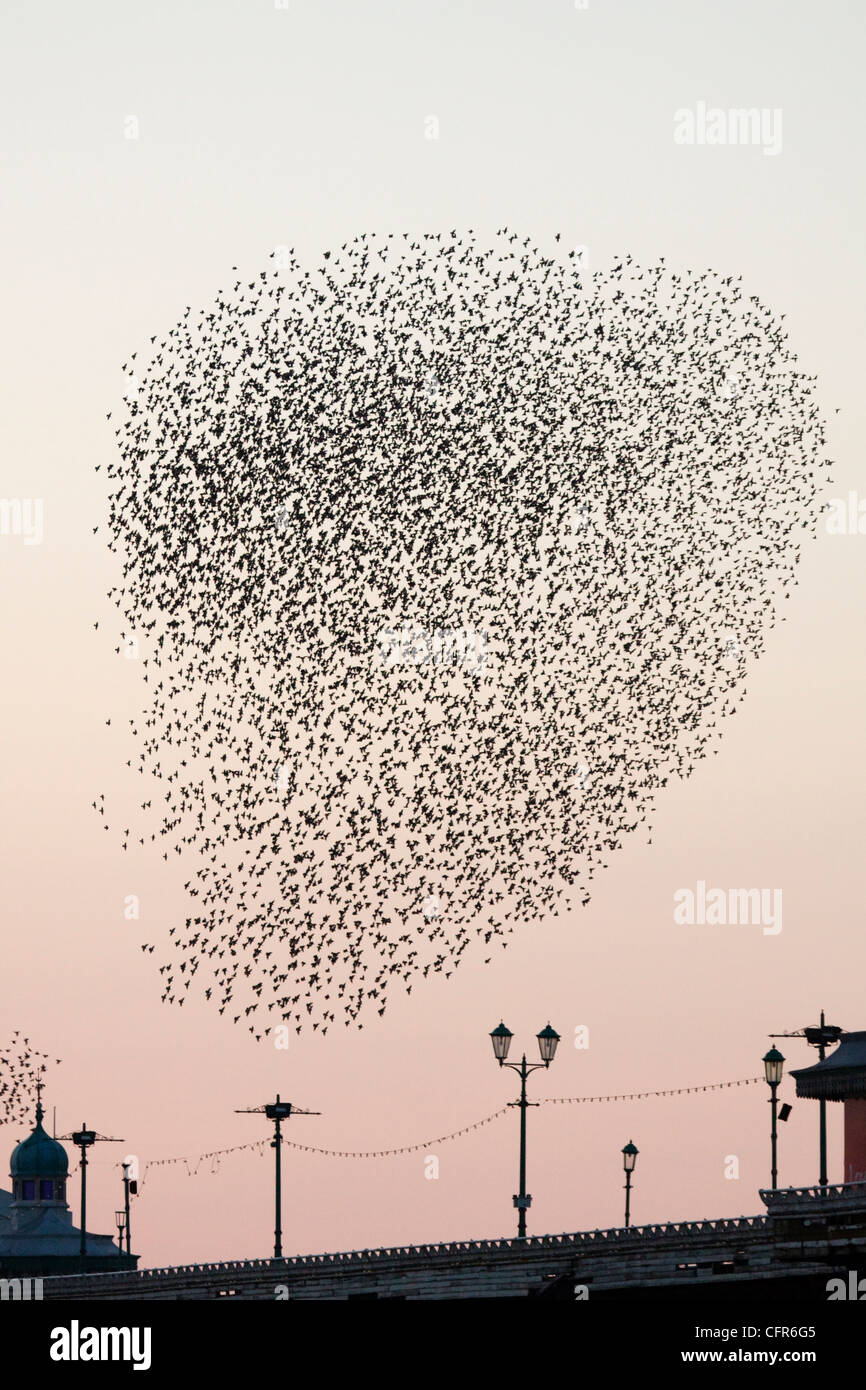 Flocking to the resort hi-res stock photography and images - Alamy