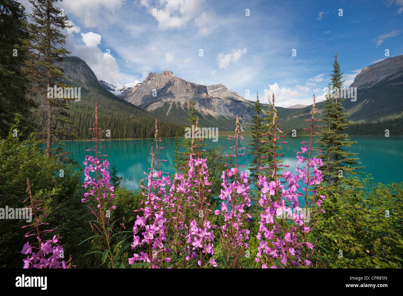 Emerald Lake, Yoho National Park, UNESCO World Heritage Site, British ...