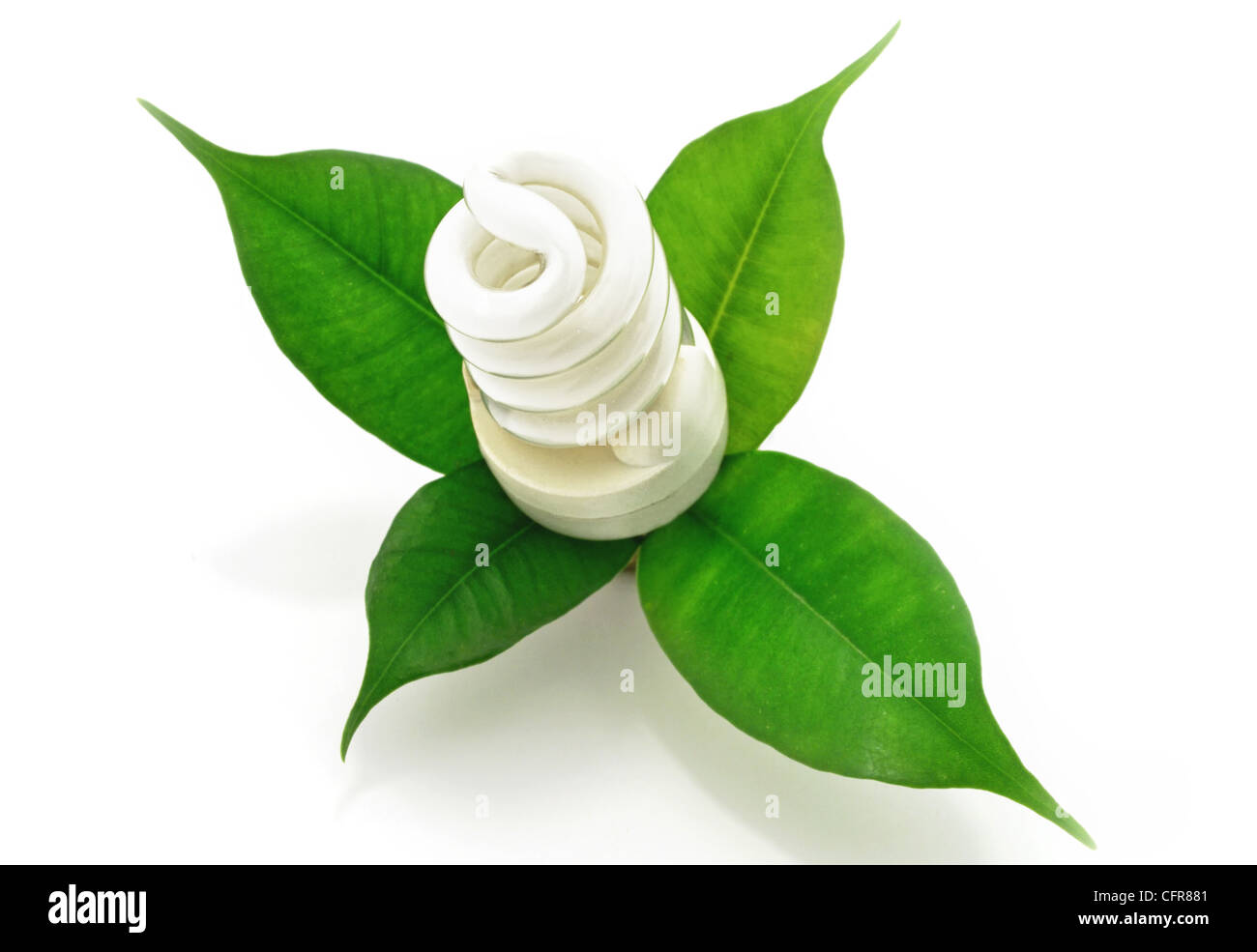 Fluorescent lamp Bio with green leaf eco concept Stock Photo - Alamy