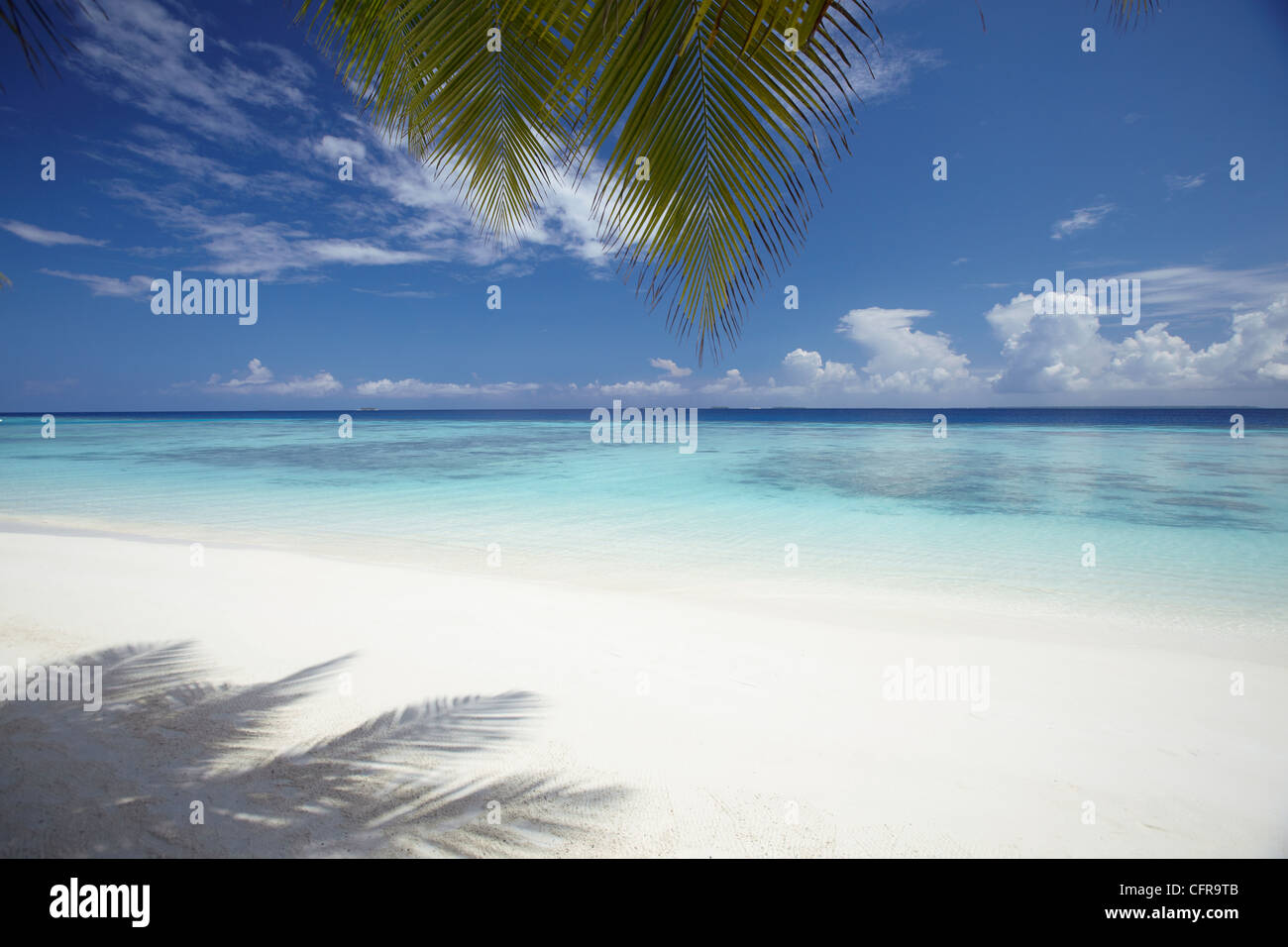 Maldives tropical beach, Maldives, Indian Ocean, Asia Stock Photo - Alamy
