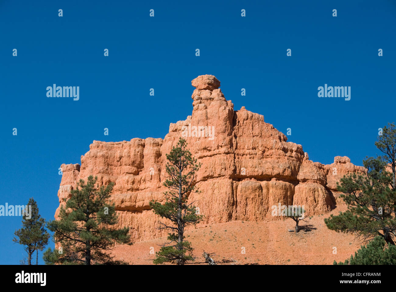 Brilliantly coloured hoodoos, Utah, United States of America, North ...
