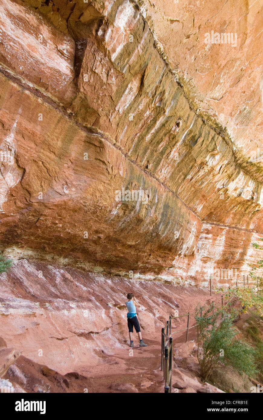 Lower Emerald Pool, Zion National Park, Utah, United States of America ...