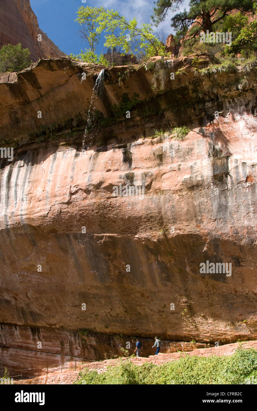 Lower Emerald Pool, Zion National Park, Utah, United States of America ...