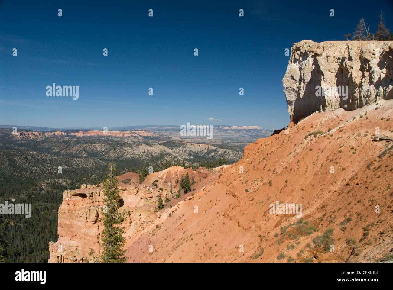Black Birch Canyon, Bryce Canyon National Park, Utah, United States of ...