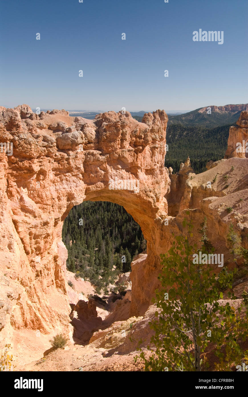 Natural Bridge, Bryce Canyon National Park, Utah, United States of ...