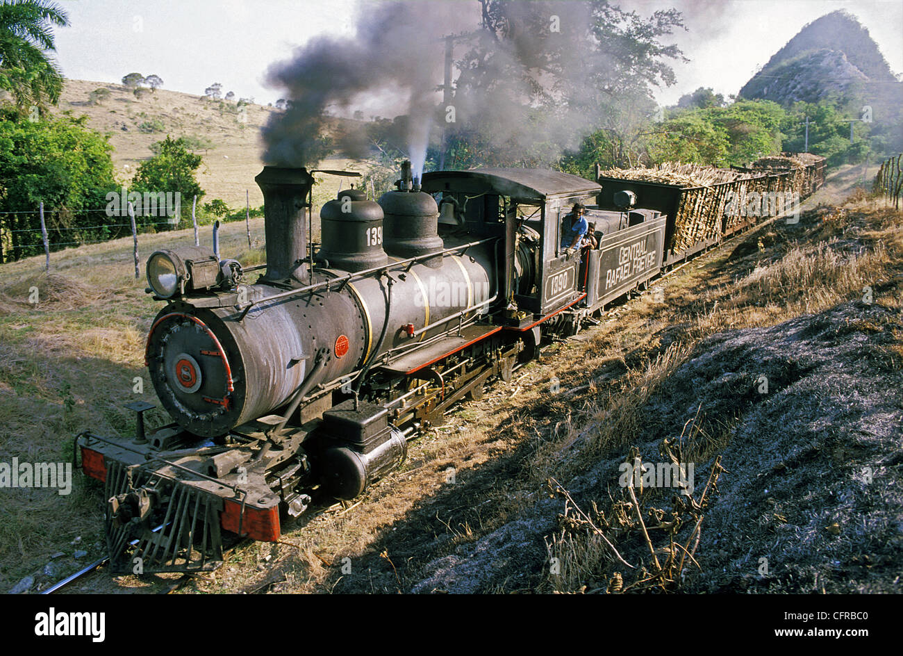 Steam locomotive sugar cane train hi-res stock photography and images ...