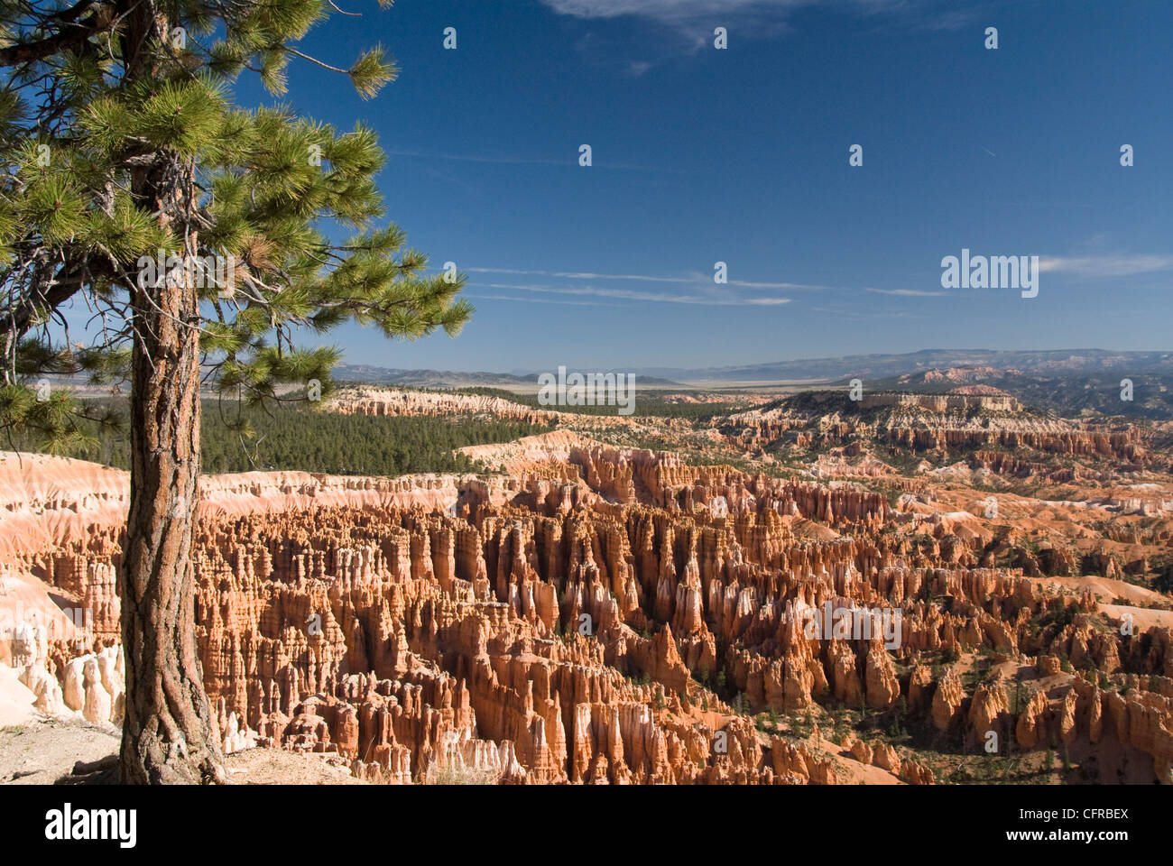Inspiration point bryce canyon national park hi-res stock photography ...