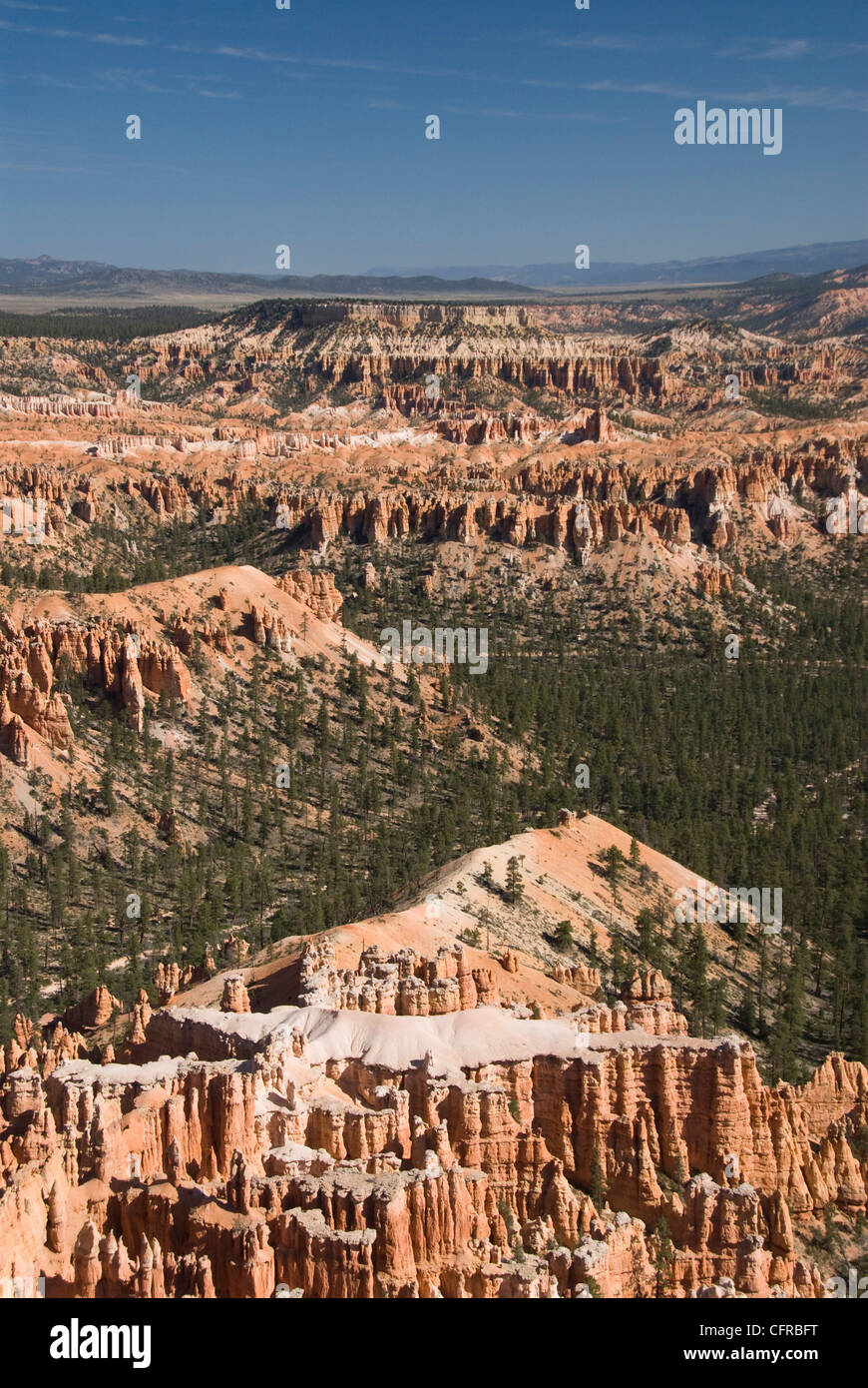 Alligator rock formation in white, Bryce Point, Bryce Canyon National ...