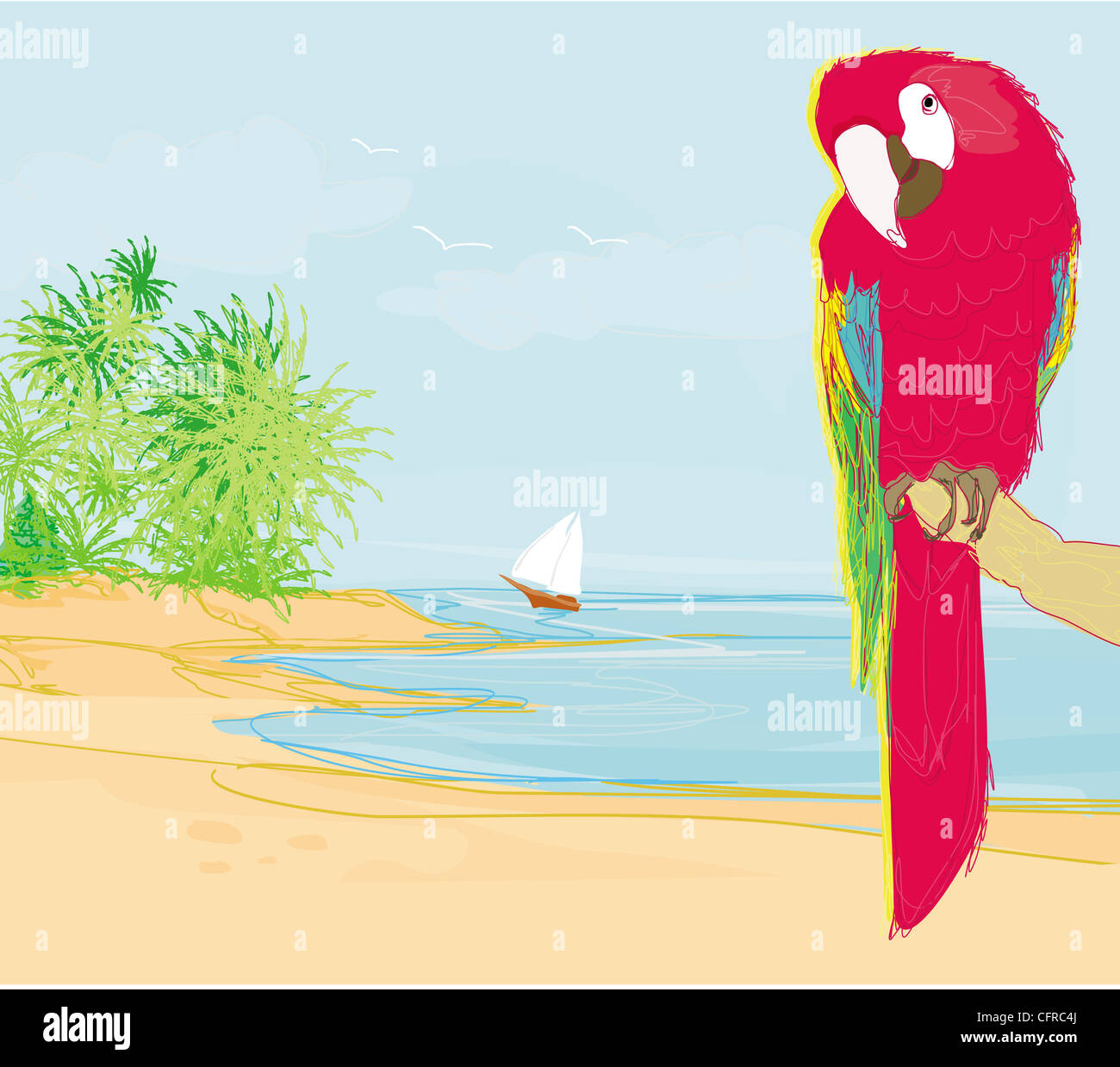 Colourful parrot bird sitting on the perch on the beach Stock Photo - Alamy