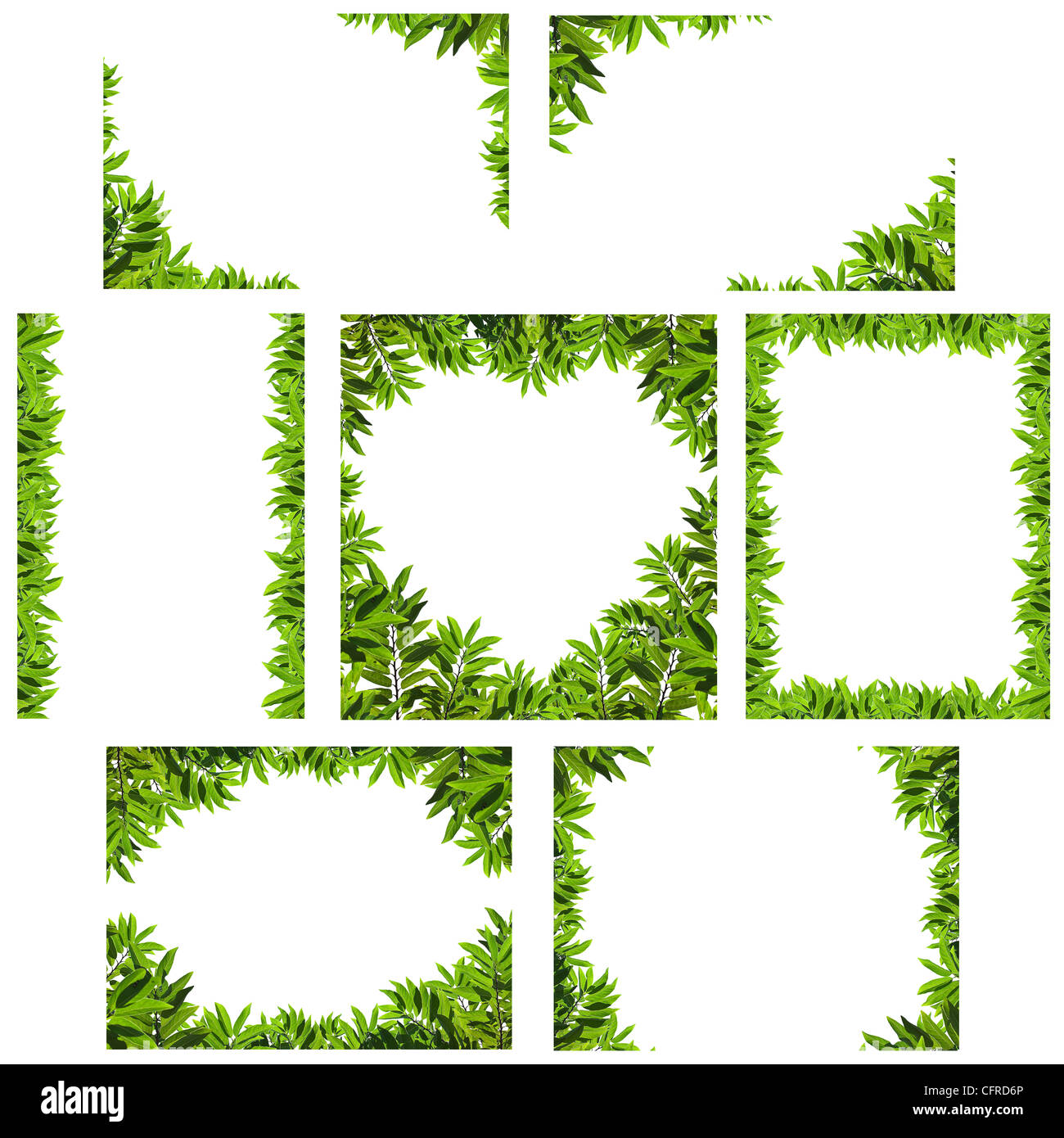 Natural green leaf frame Stock Photo - Alamy