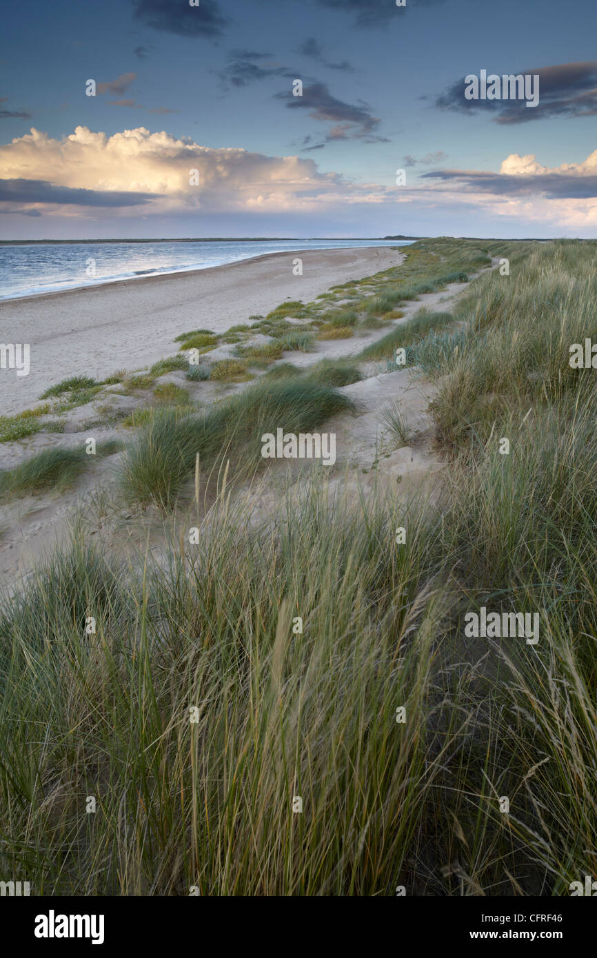 The view towards Scolt Head Island , Norfolk, England, United Kingdom ...