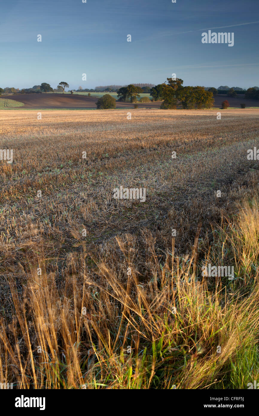 Antingham hi-res stock photography and images - Alamy