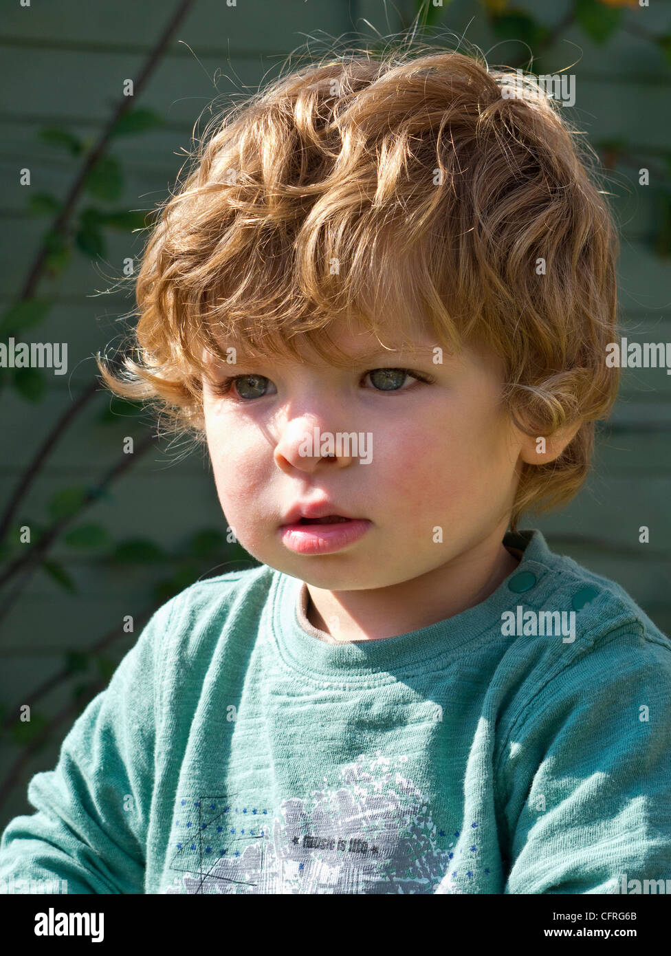 Outdoor Portrait of 18 Month Boy with Tousled Blond Hair Stock Photo ...