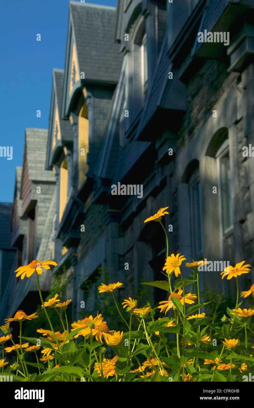 Flowers and Houses, Montreal, Quebec Stock Photo - Alamy