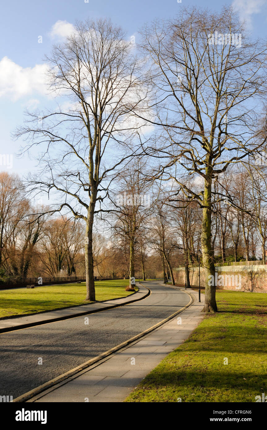 Castle Drive in Chester a tree lined road alongside the River Dee Stock ...