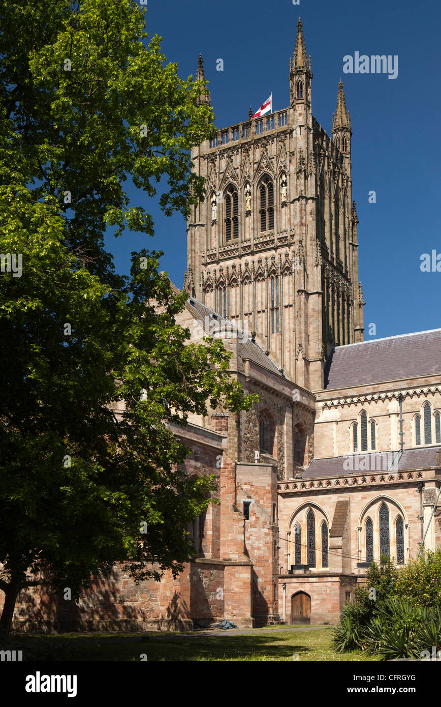 UK, England, Worcestershire, Worcester Cathedral Stock Photo - Alamy