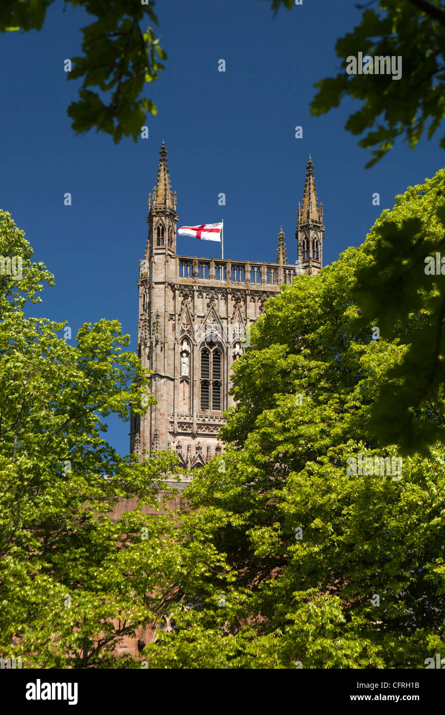 Worcester cathedral tower hi-res stock photography and images - Alamy