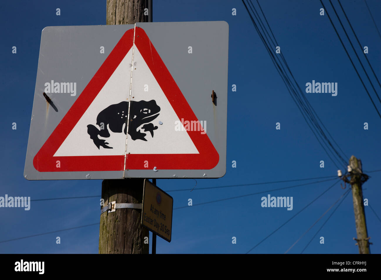 A Triangular Road Sign Warning Of Toads Crossing, Surrey,, 46% OFF