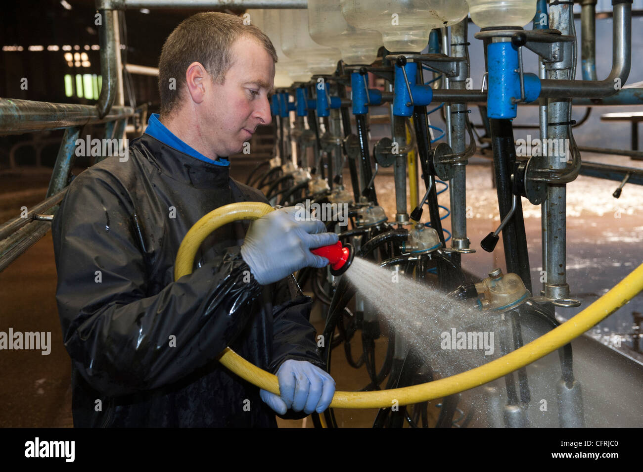 Clean milking parlour hi-res stock photography and images - Alamy
