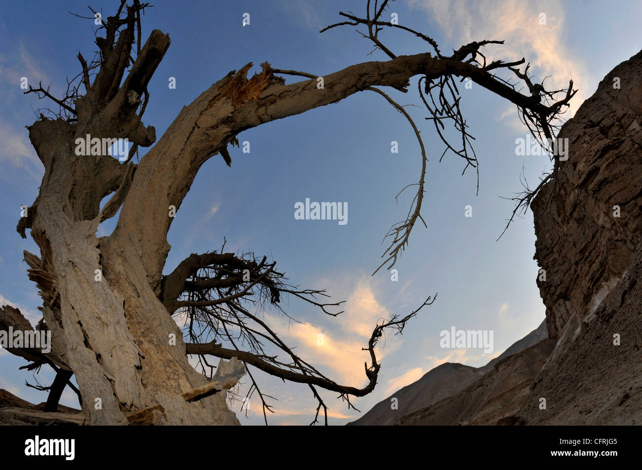 Negev desert. Eilat Mts, Israel Stock Photo - Alamy