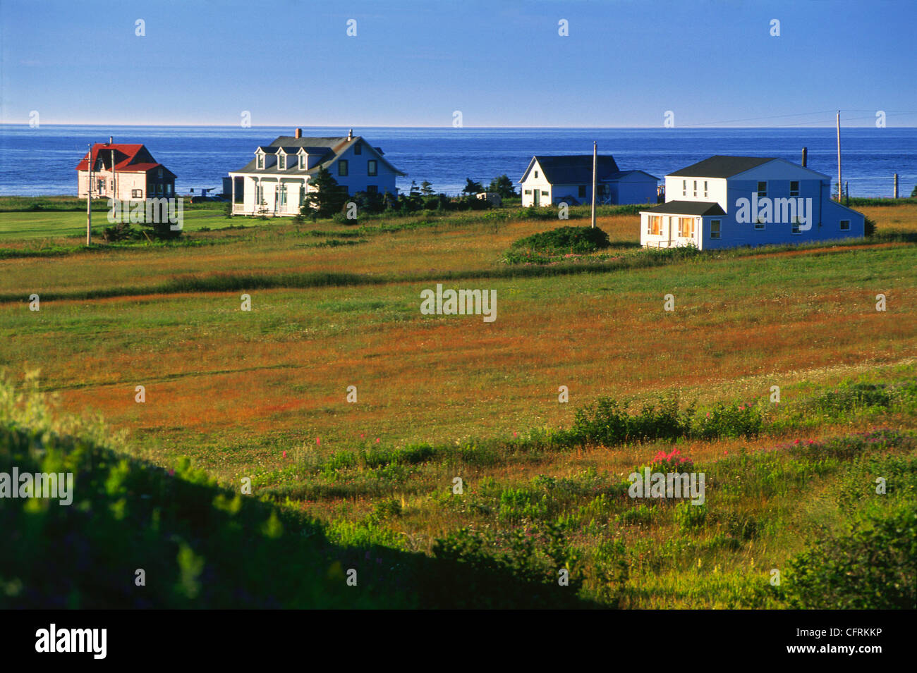 Pointe saint pierre hi-res stock photography and images - Alamy
