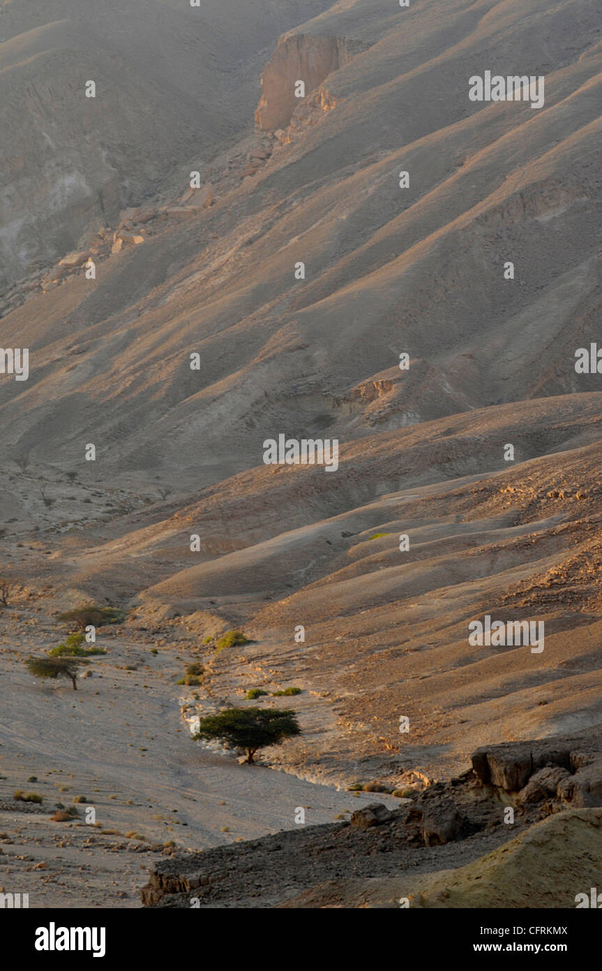 Southern Negev desert and Aravah Valley (wadi arabah) in the area of ...