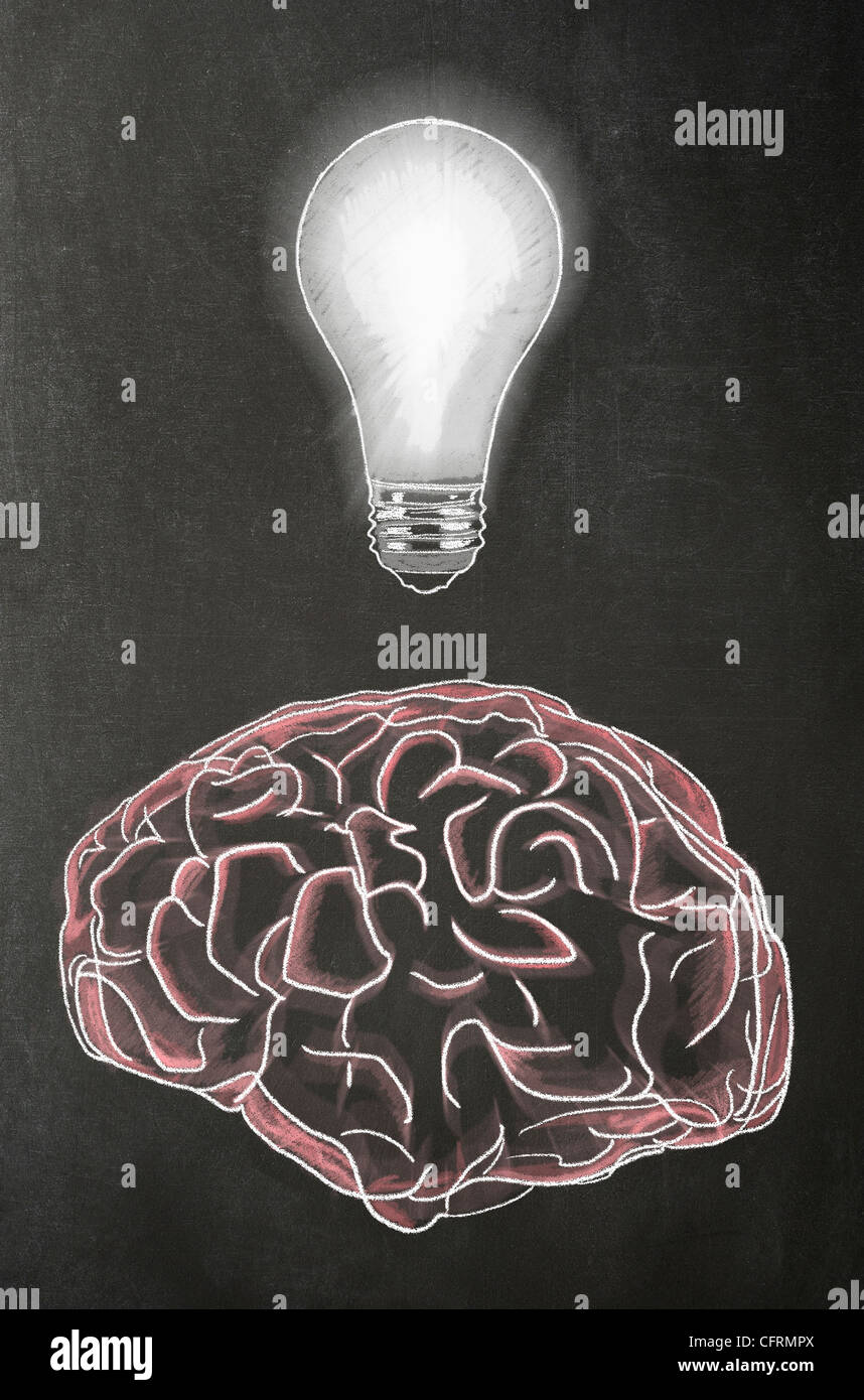 Illustration in chalk of a human brain with a light bulb above it on a ...