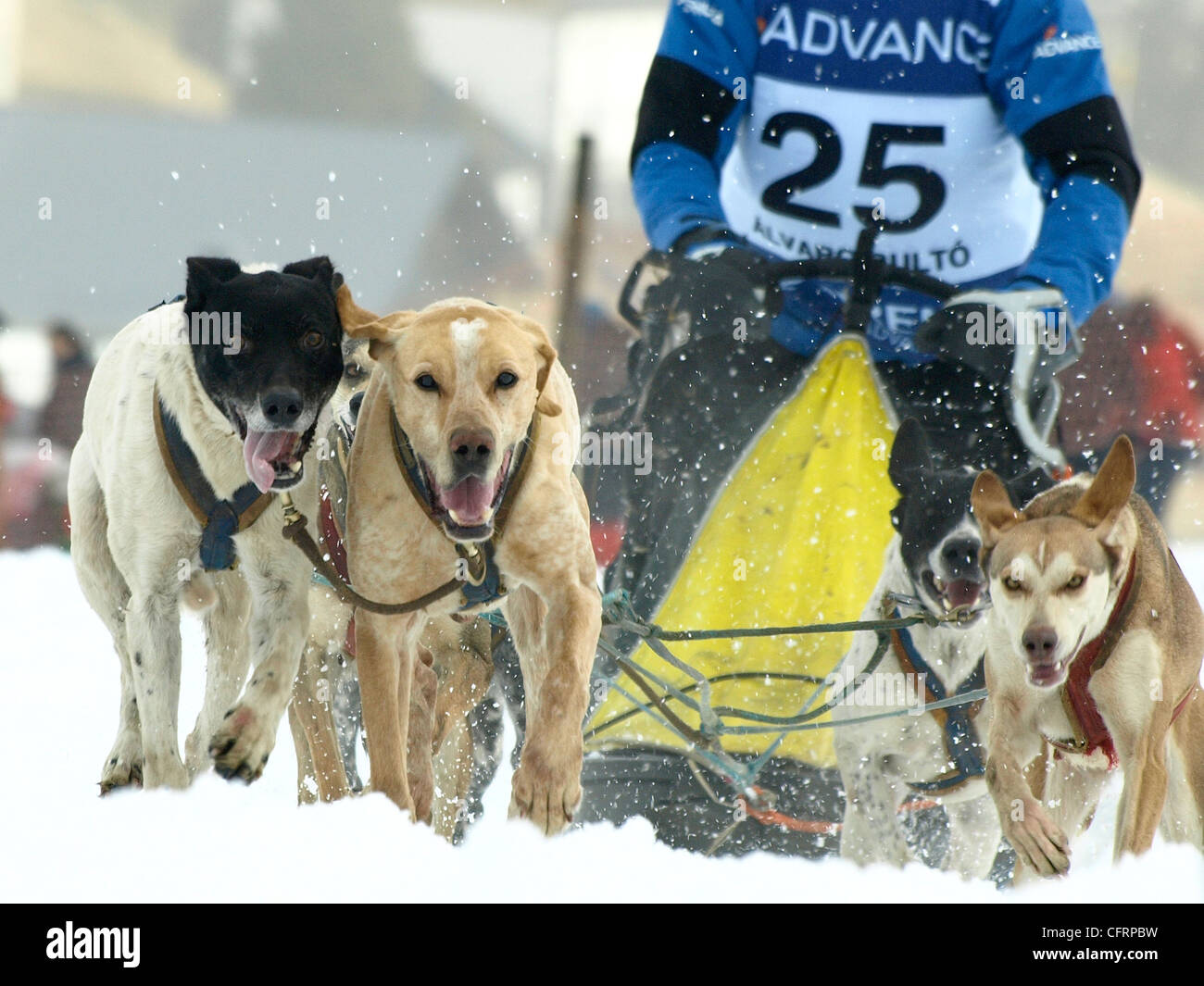 Sleighdogs hi-res stock photography and images - Alamy