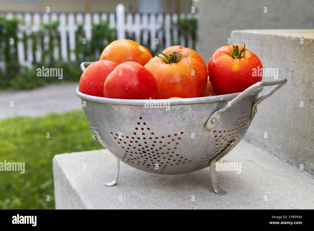 Tomato still life hi-res stock photography and images - Alamy