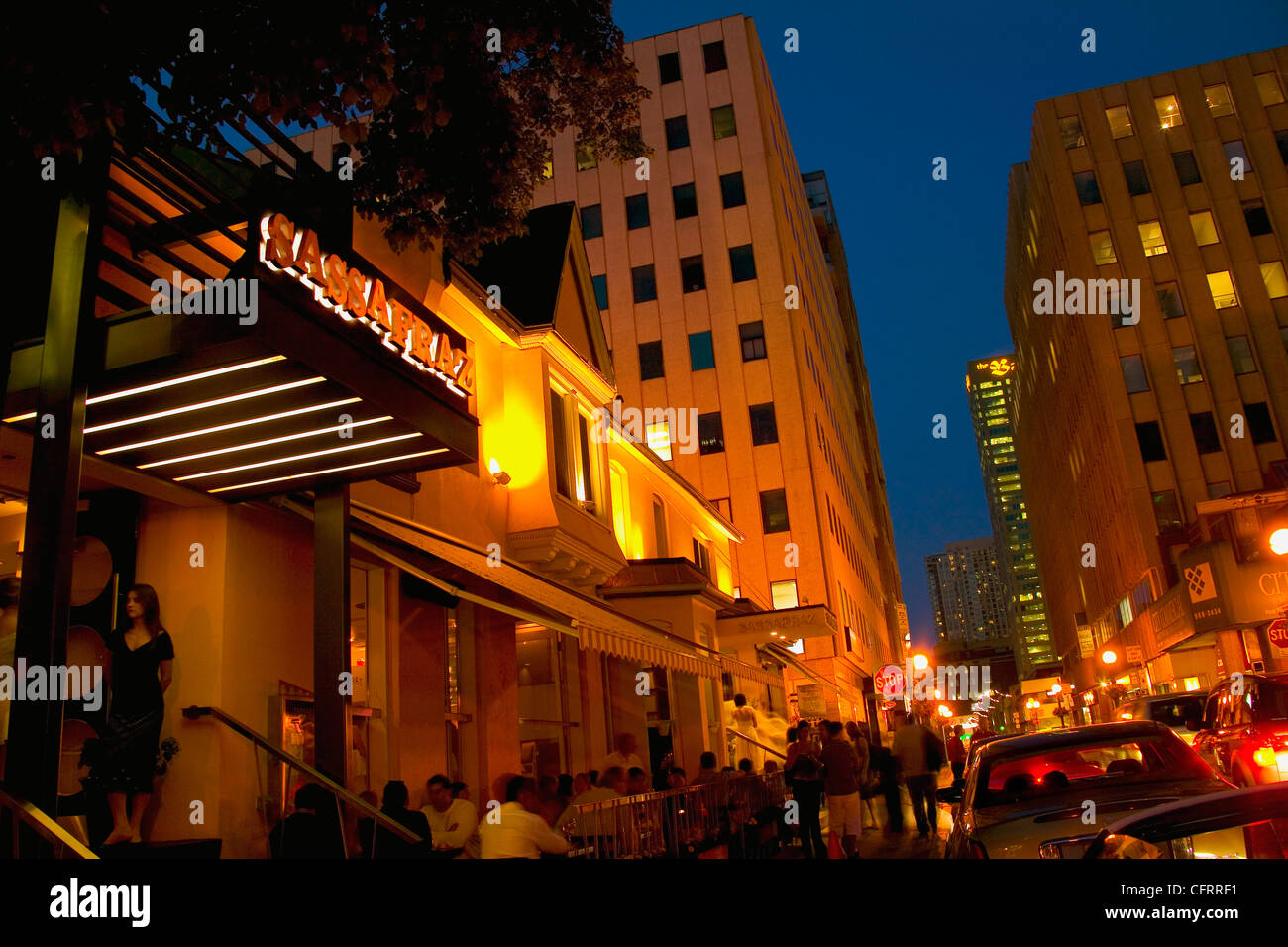 Sassafraz hi-res stock photography and images - Alamy