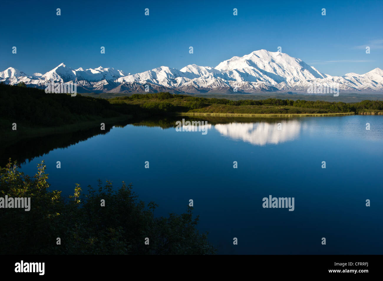 Denali (Mt. McKinley) the tallest mountain in North America is ...