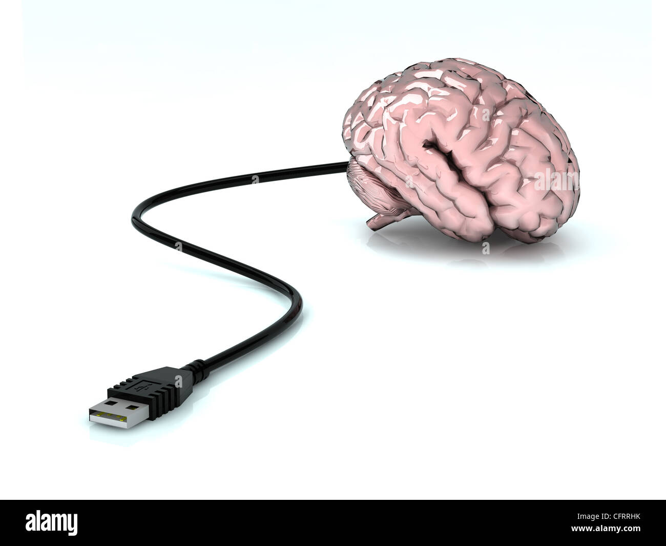brain with attached USB cable Stock Photo - Alamy