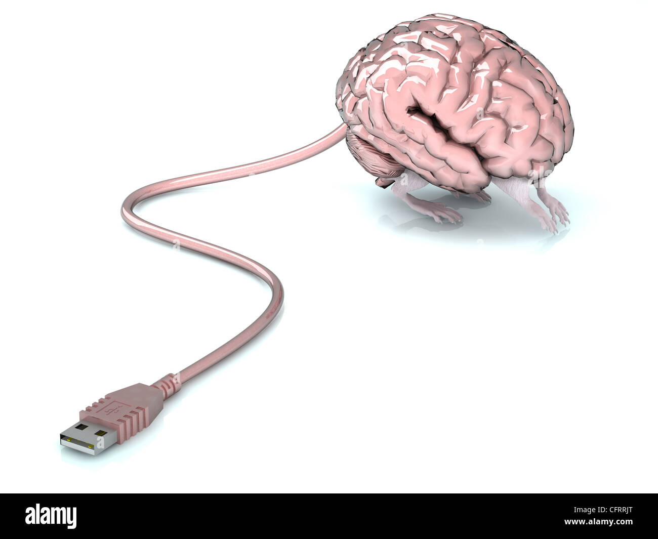 Usb Brain Jack Wallpaper