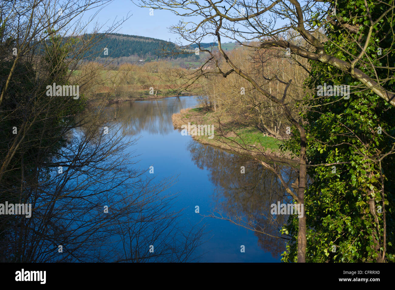 River wye riverbank powys trees hi-res stock photography and images - Alamy