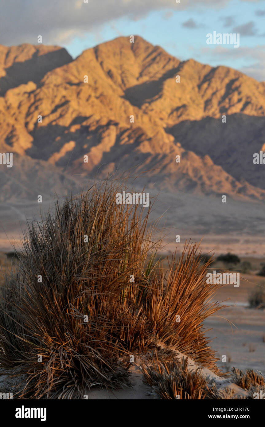 The mountains of Moab on the Arabah Valley Stock Photo - Alamy
