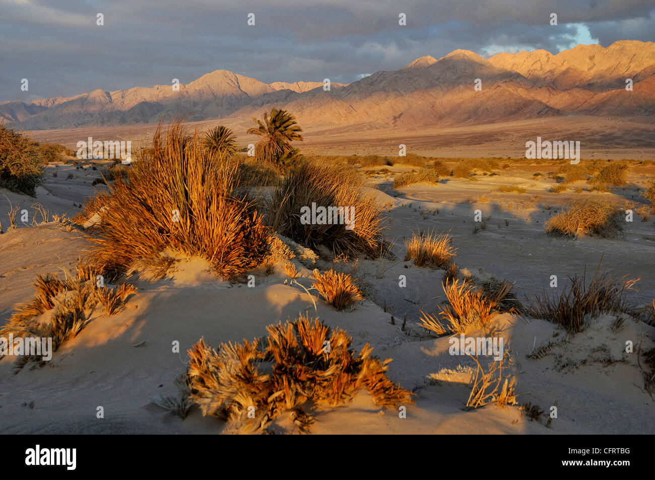 The mountains of Moab on the Arabah Valley Stock Photo - Alamy
