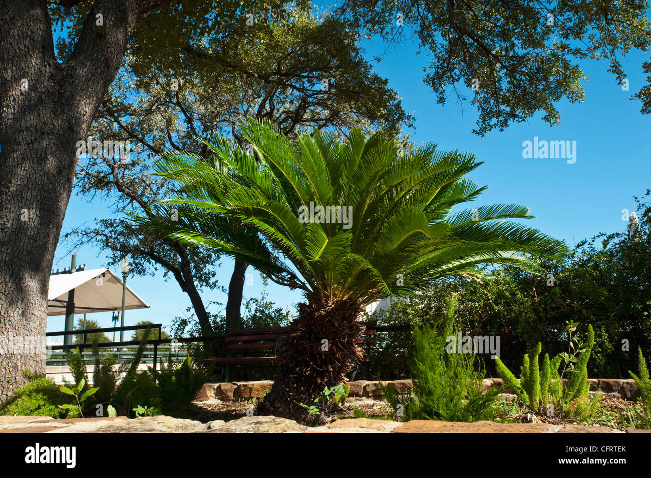 Texas hi res hi-res stock photography and images - Alamy