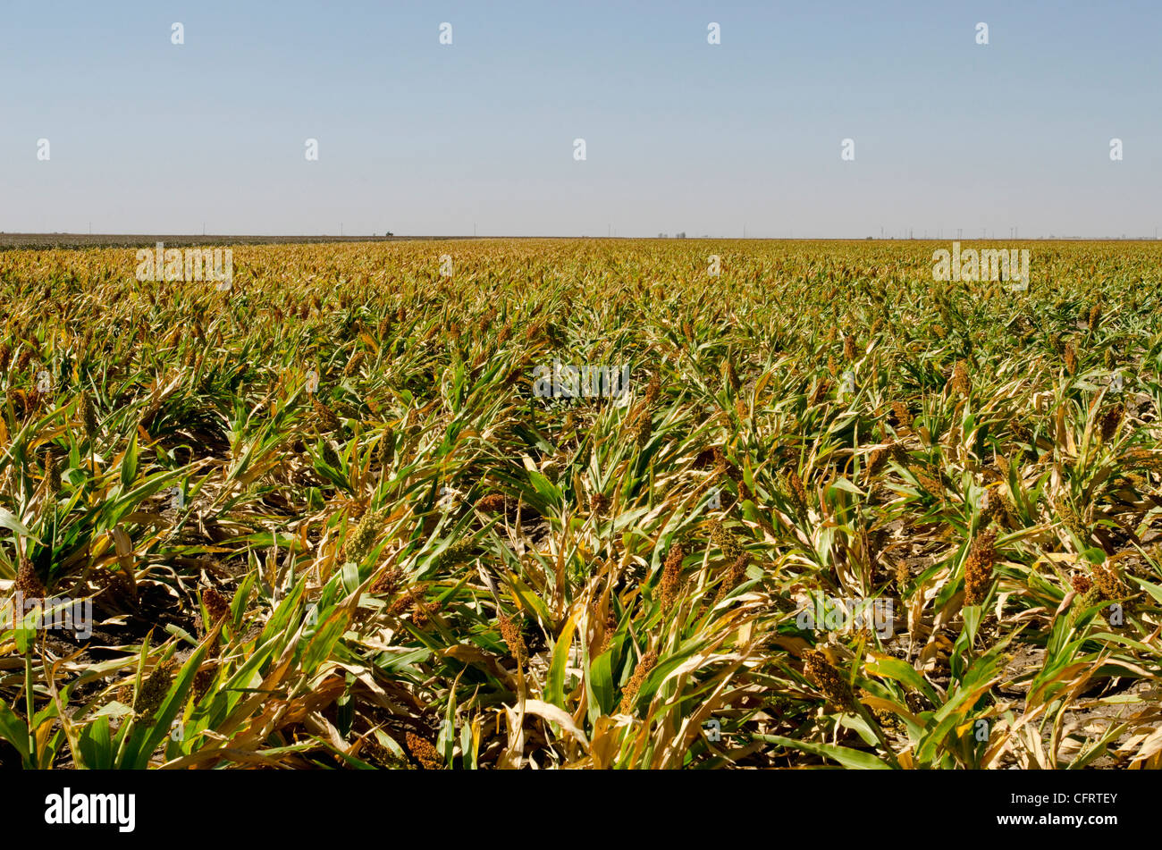 Texas panhandle hi-res stock photography and images - Alamy