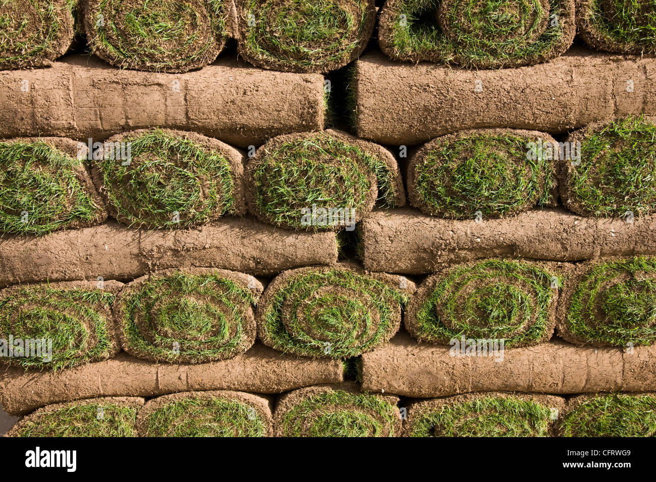 Rolls of fresh turf ready to be laid as a new lawn Stock Photo - Alamy