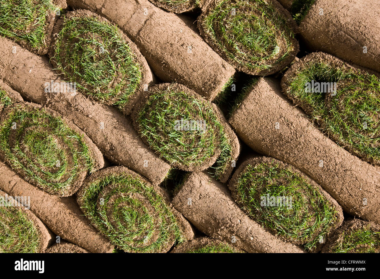 Rolls of fresh turf ready to be laid as a new lawn Stock Photo - Alamy